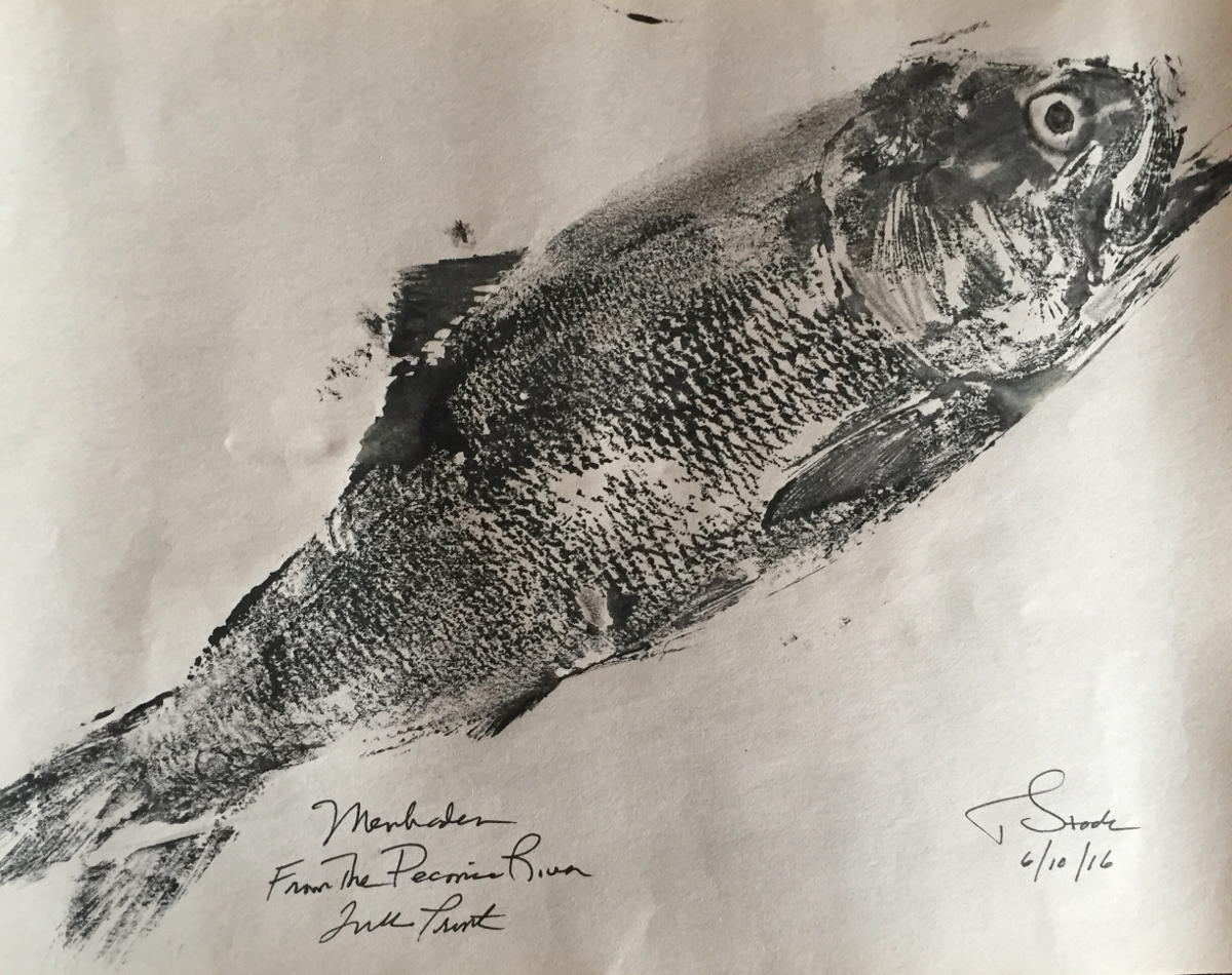 How To Make a Fish Print - Tom Stock