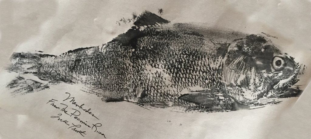 How To Make a Fish Print - Tom Stock