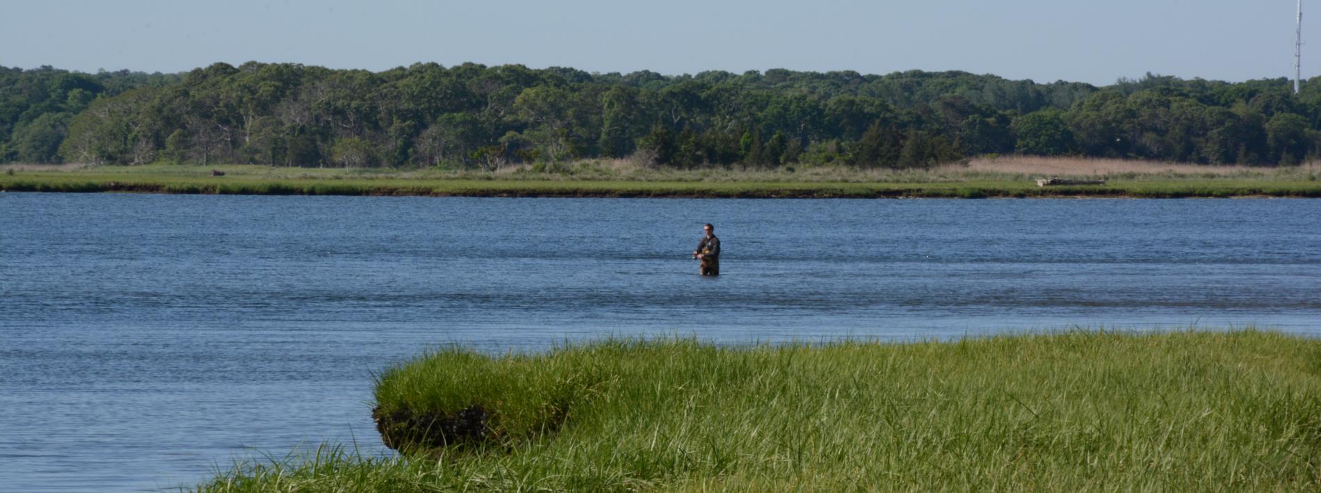 Indian Island County Park: A Walk Report - Tom Stock