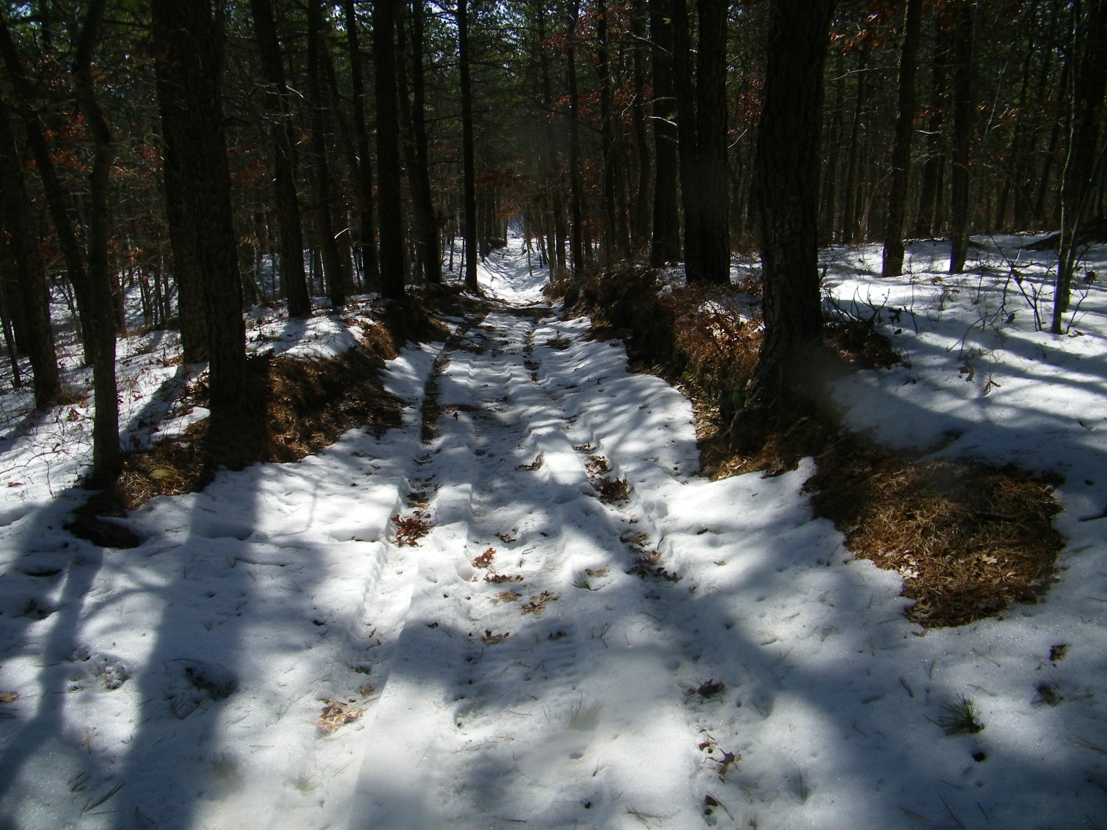 Hike With Tom - Tom Stock