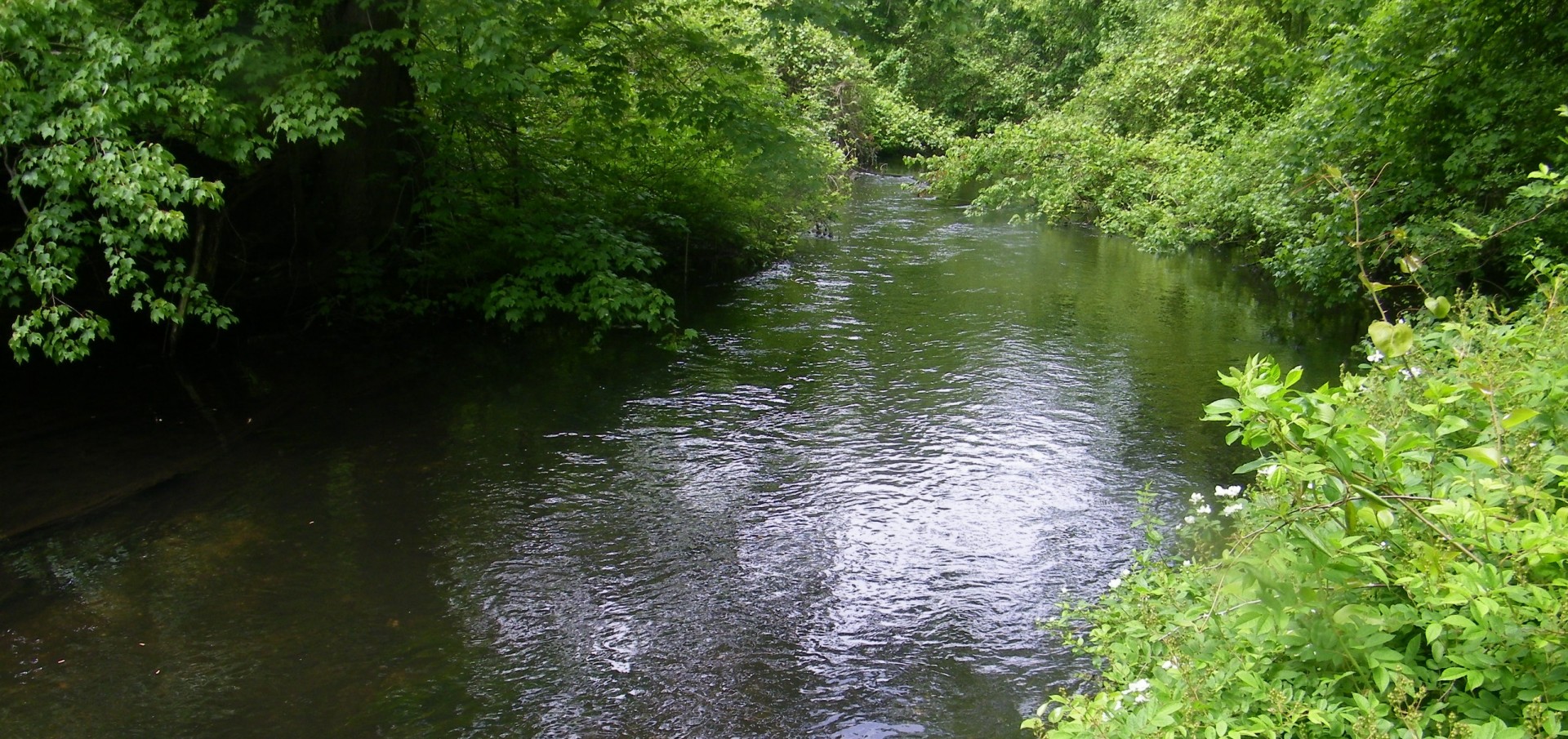 A Fabulous Greenbelt Walk- Part 1 - Tom Stock